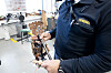 Kriminalomsorg: Grensesetting er nøkkelen til varig endring
