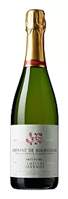 Tips til vin: Clotilde Davenne og rene viner fra Chablis