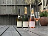 Tips til vin: Clotilde Davenne og rene viner fra Chablis