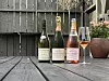 Tips til vin: Clotilde Davenne og rene viner fra Chablis