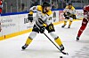 Stavanger Oilers, EHL, ishockey | Live: Følg Stavanger Oilers ...