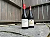 Vinspalte: Syrah fra Dom. d’Andézon på Vinmonopolet – Dagsavisen