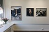 Anmeldelse kunst: Utstillinger med Lars Elling i Galleri Brandstrup og ...