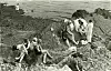 Paradisbukten: Historien om Oslos badekultur på 1920-tallet